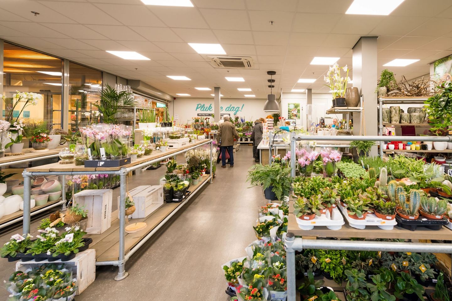 Hoofdstraat 76 c De lier - Winkel huren