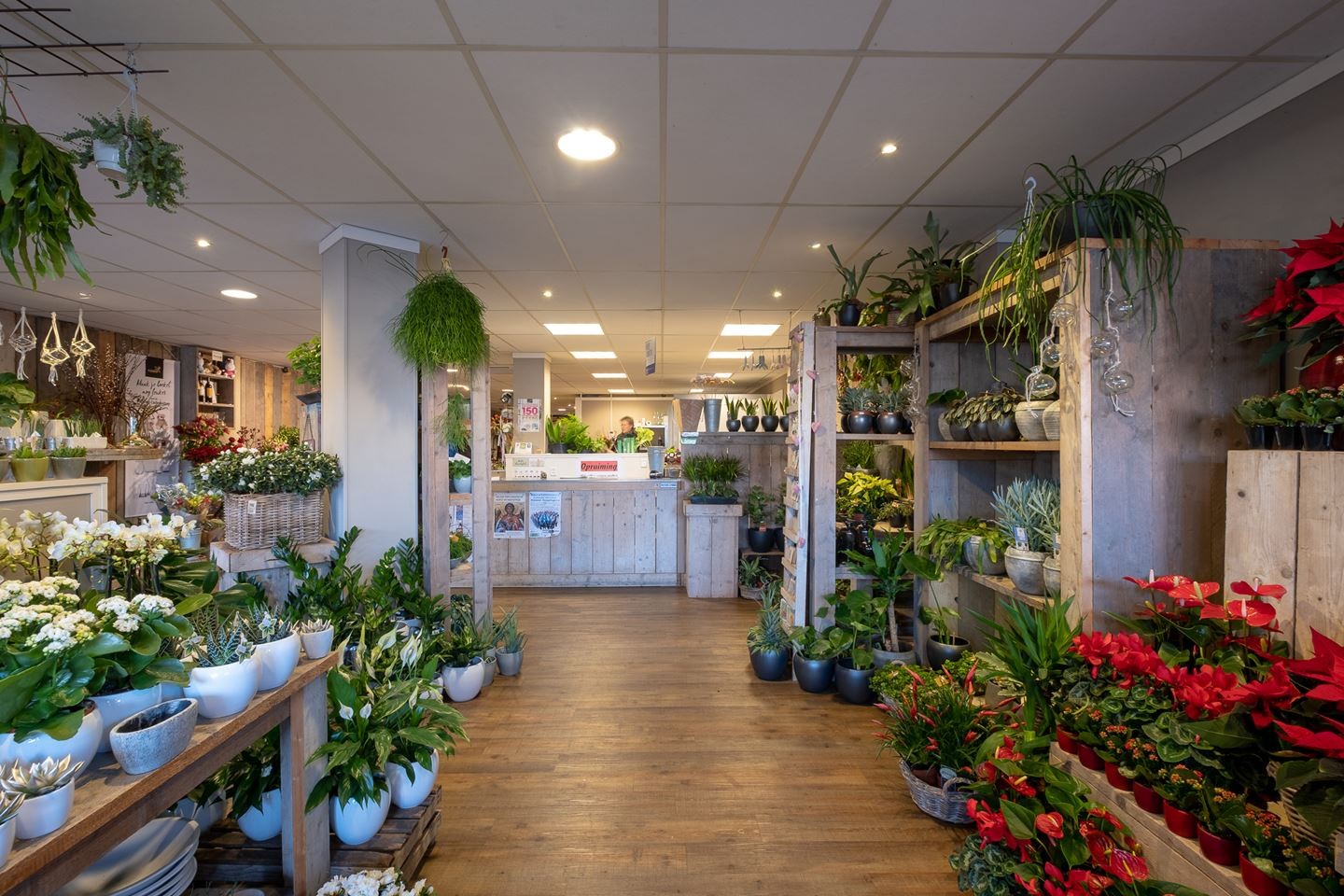 Heerestraat 32 in Roden - Winkelruimte huren